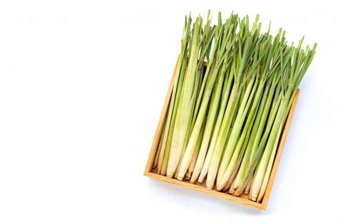 Premium Photo Fresh Lemongrass In Wooden Box On White Background