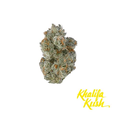 Point Breeze 1g Khalifa Kush
