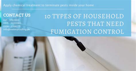10 Types Of Household Pests That Need Fumigation Control Lcs