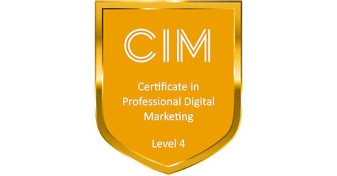 Fatima Elaffendi On Linkedin Certificate In Professional Digital