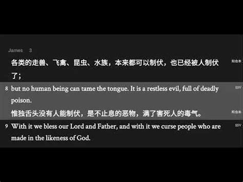 雅各书 第三章 ESV英文朗读 中英对照 YouTube