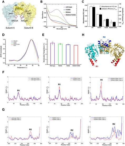 Characterization Of The Charge Transfer Complex Intermediate Download Scientific Diagram