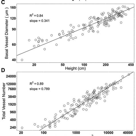 Scaling Relationships Of Total Leaf Area With Height And Vessel Traits Download Scientific