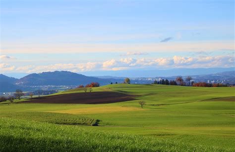 400 000 Free Grassland Background And Grassland Images Pixabay