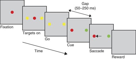 Sequence Of Events In The Compelled Saccade Task A Trial Is Correct If