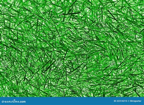 Grassy Texture Stock Image Image Of Herbs Texture White 22314215