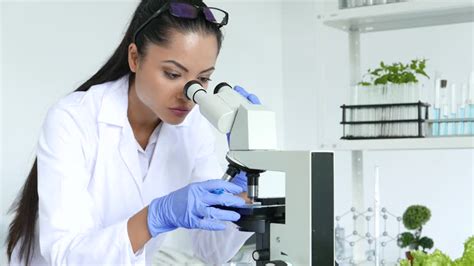 670 Microscope Side View Stock Videos And Royalty Free Footage Istock