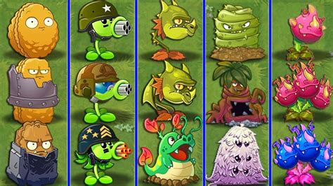Pvz Discovery Every Plants Evolution Noob Pro Hacker Youtube
