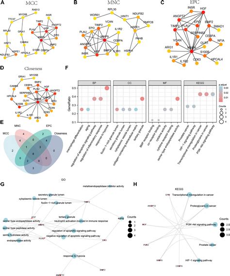 Sebm Bioinformatics And Systems Biology Approach To Identify The