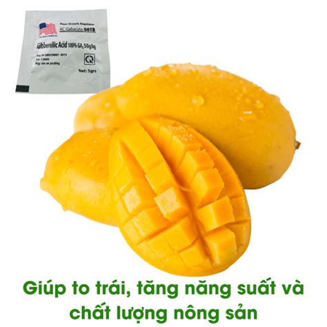 Kích thích tăng trưởng Gibberellic Acid 100 Vườn Sài Gòn