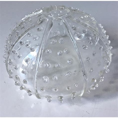 Juliska Style Sea Urchin Hand Blown Glass Vase Chairish