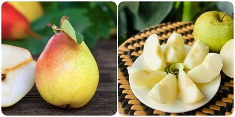 Những Người Nên Hạn Chế ăn Quả Lê