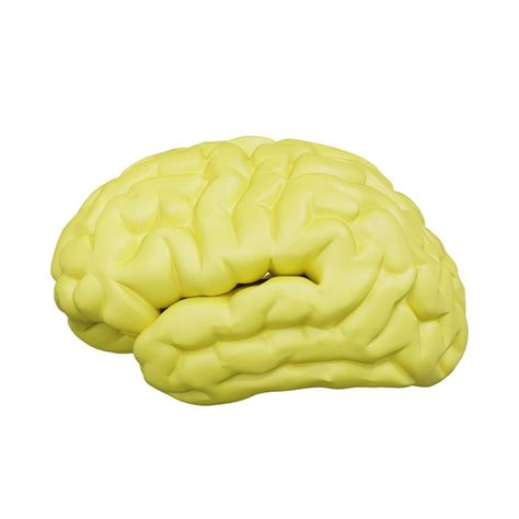 Premium Photo Yellow Human Brain Isolated On White Background