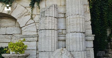 회색 콘크리트 건물 옆에 있는 녹색 나무 사진 Unsplash의 무료 우크라이나 이미지