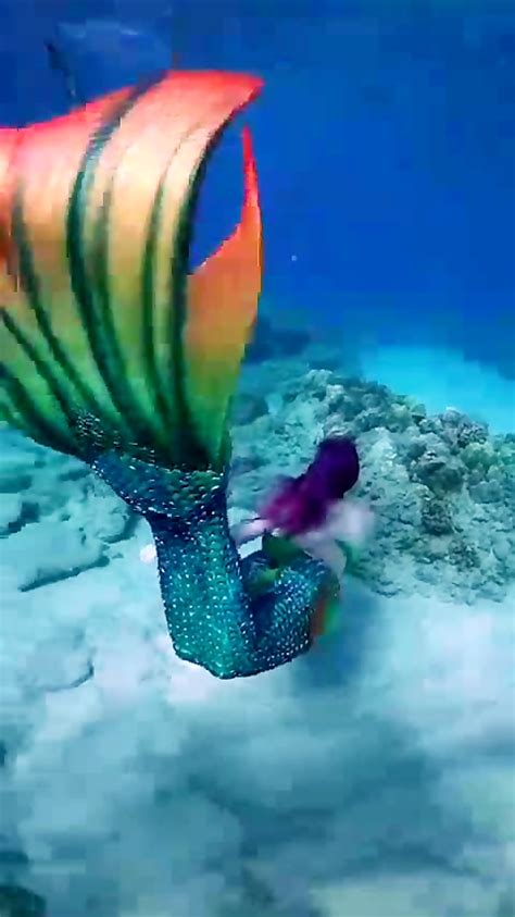 پری دریایی واقعی