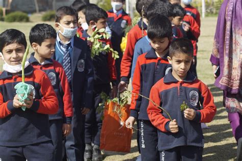 Plantation Drive Conducted By Dis Doon School Srinagar