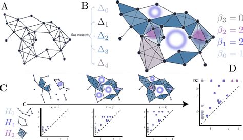Figure 1 From The Emergence Of Higher Order Structure In Scientific And