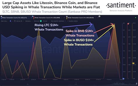 Litecoin Investors Neednt Worry Because Alls Whale That Ends Whale