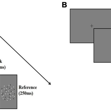 Schematic Illustration Describing The Procedure Of Experiment 1 Each