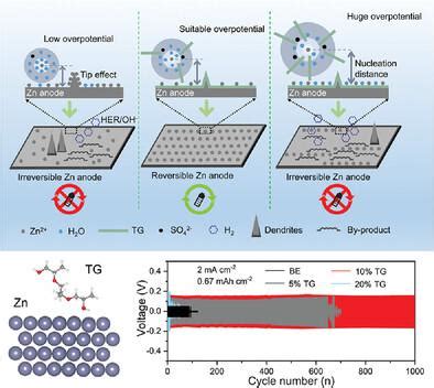 A Dual Functional Organic Electrolyte Additive With Regulating Suitable Overpotential For
