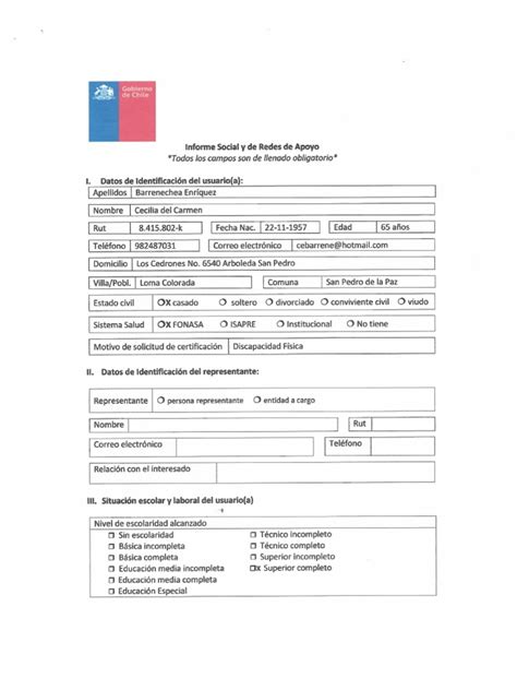 Informe Social Y De Redes De Apoyo Pdf