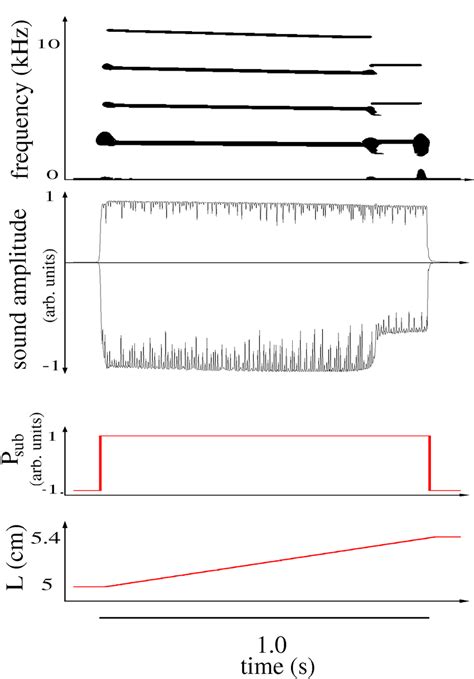 Adapted From 8 Synthetic Sound Produced By Numerical Integration