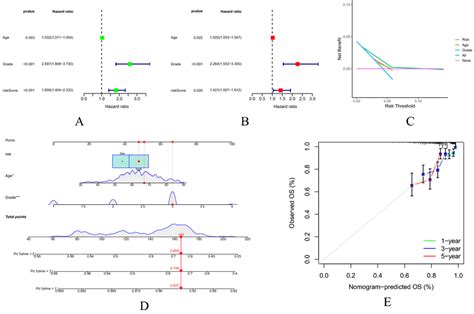 Independent Prognostic Analysis Of Risk Score Model Ab Univariate