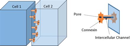 Research 101 Junction Junction Whats Your Function