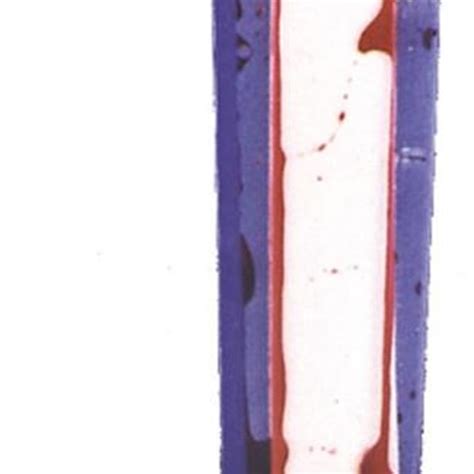 Bleeding Knife Costume Accessory Horror Spooky And Supernatural