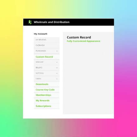 NetSuite App Display Custom Records Learn More Anchor Group