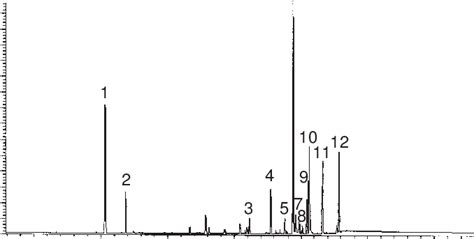 Solid Phase Microextraction Gas Chromatography Measurement Of Volatile