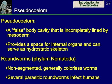 Ppt Outline Powerpoint Presentation Free Download Id2975284