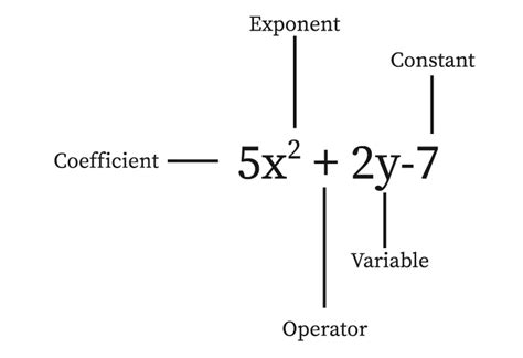 Polynomials Bartleby
