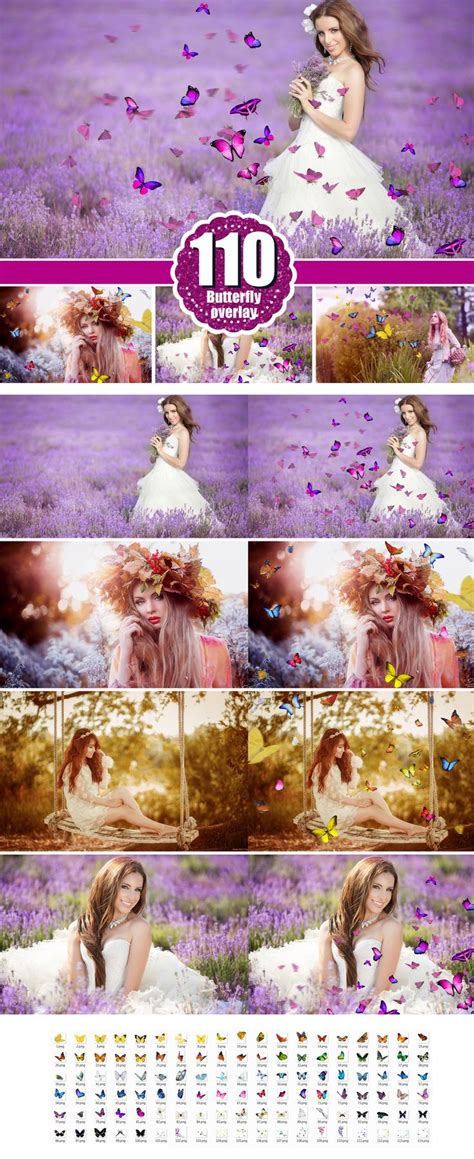 110 Butterfly Photo Overlay Flying Butterfly Overlay Realistic