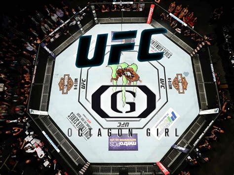 Ufc Octagon Wallpapers 4k Hd Ufc Octagon Backgrounds On Wallpaperbat