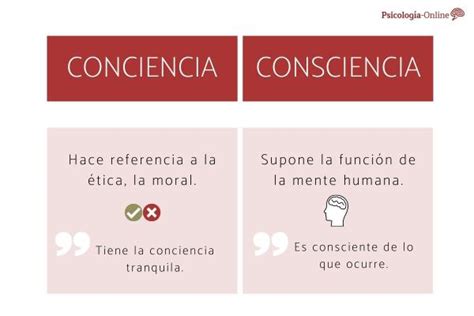 Conciencia O Consciencia Significado Diferencia Y Ejemplos