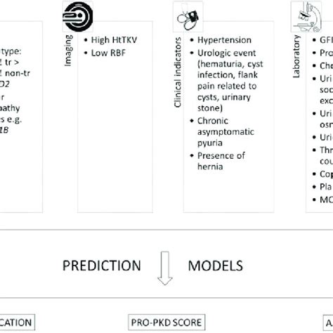 Prognostic Indicators For Adult Patients With Adpkd And Prediction