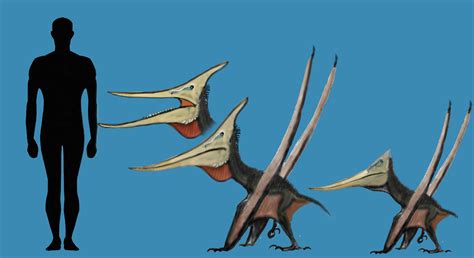 Suggestions For A Realistic Jurassic Park Ecosystem Rjurassicworld