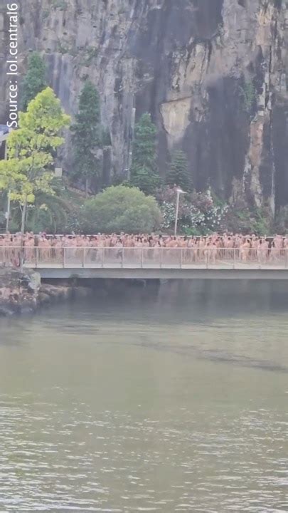 Thousands Flock To Story Bridge Nude For Rising Tide Naked Art