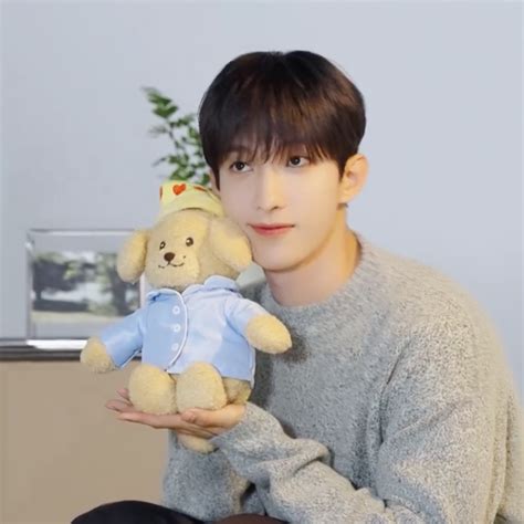 Pre Order Seventeen Artist Made Collection By Dk Plush Toy Kpop2u