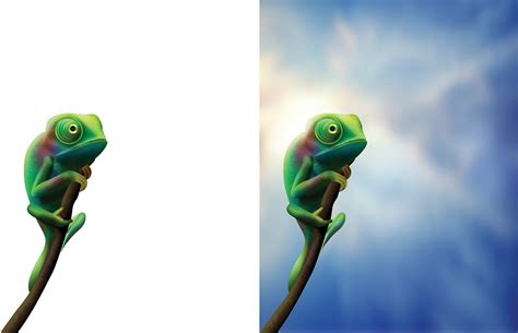 Chameleon On Behance