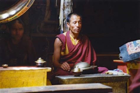 Whats The Difference Between A Lama And A Llama Wijsheidsweb Quest For Wisdom