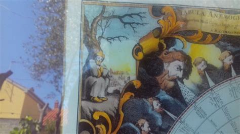 Ruža Vjetrova Reprodukcija