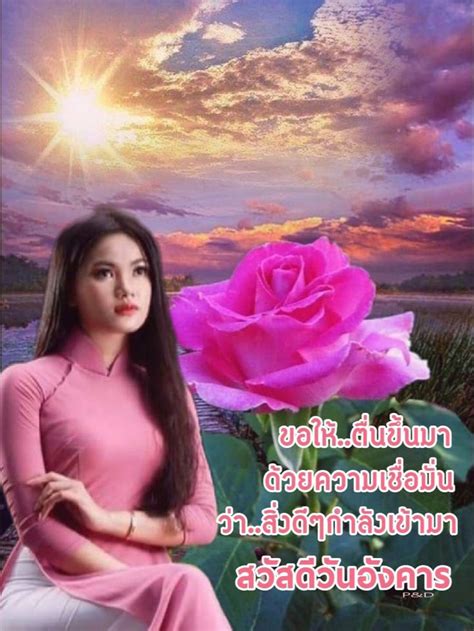 ปักพินโดย ประเสริฐ ธนะปัทม์ ใน ปุ๊ กุหลาบสีชมพู ภาพ อรุณสวัสดิ์