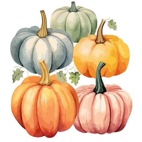 Premium Vector Watercolor Pumpkin Art