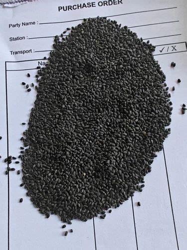 Sabja Basil Seeds Packaging Type Bag At ₹ 350 Kg In Pune Id 2853650268712