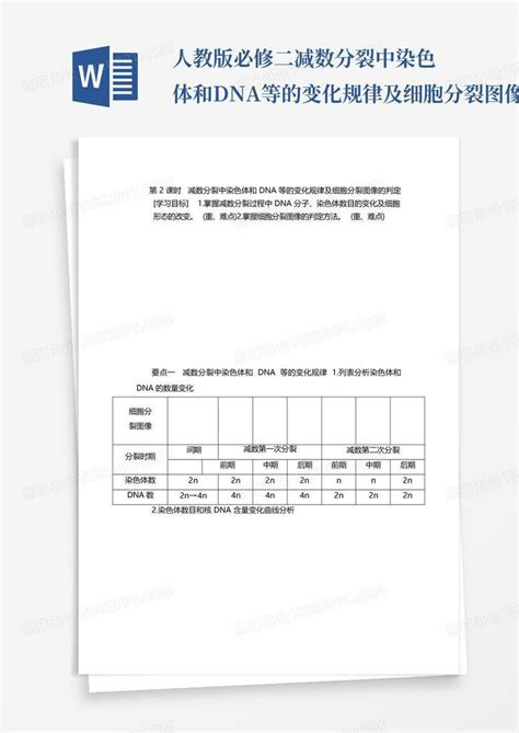 人教版必修二减数分裂中染色体和dna等的变化规律及细胞分裂图像的判定 Word模板下载 编号lgyemwaw 熊猫办公