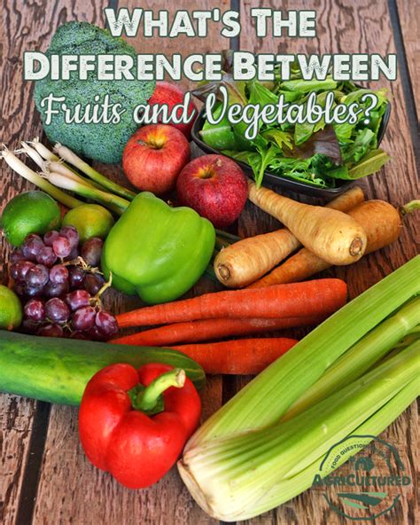 Difference Between Fruits And Vegetables Worksheet Printable And