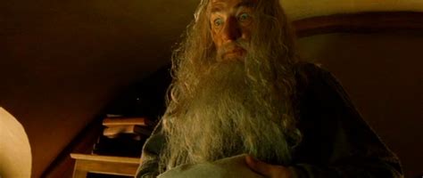 Gandalf The Grey Fellowship Of The Ring Gandalf Photo 35160531