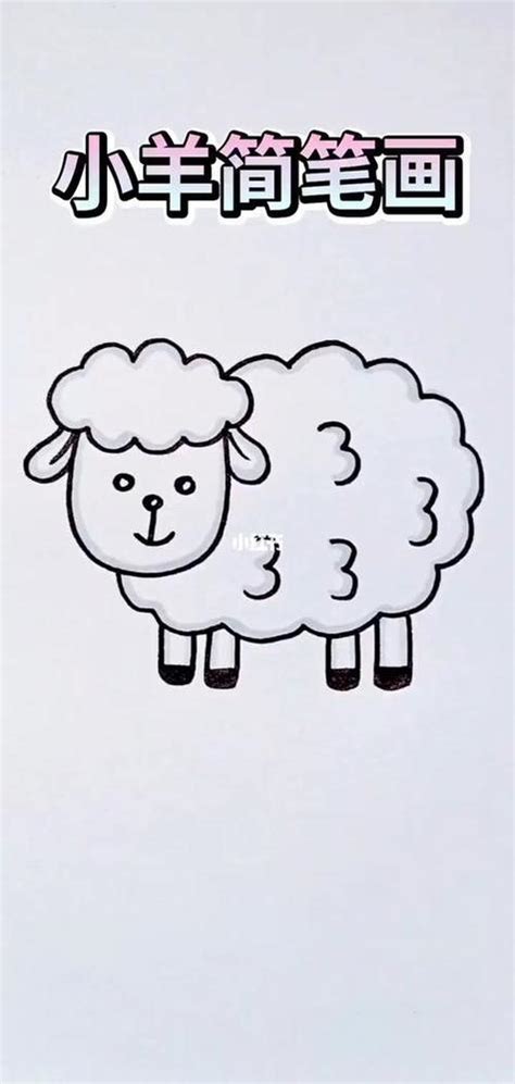 小羊的简笔画图片大全 小羊简笔画图片大全可爱卡通 苗苗知道